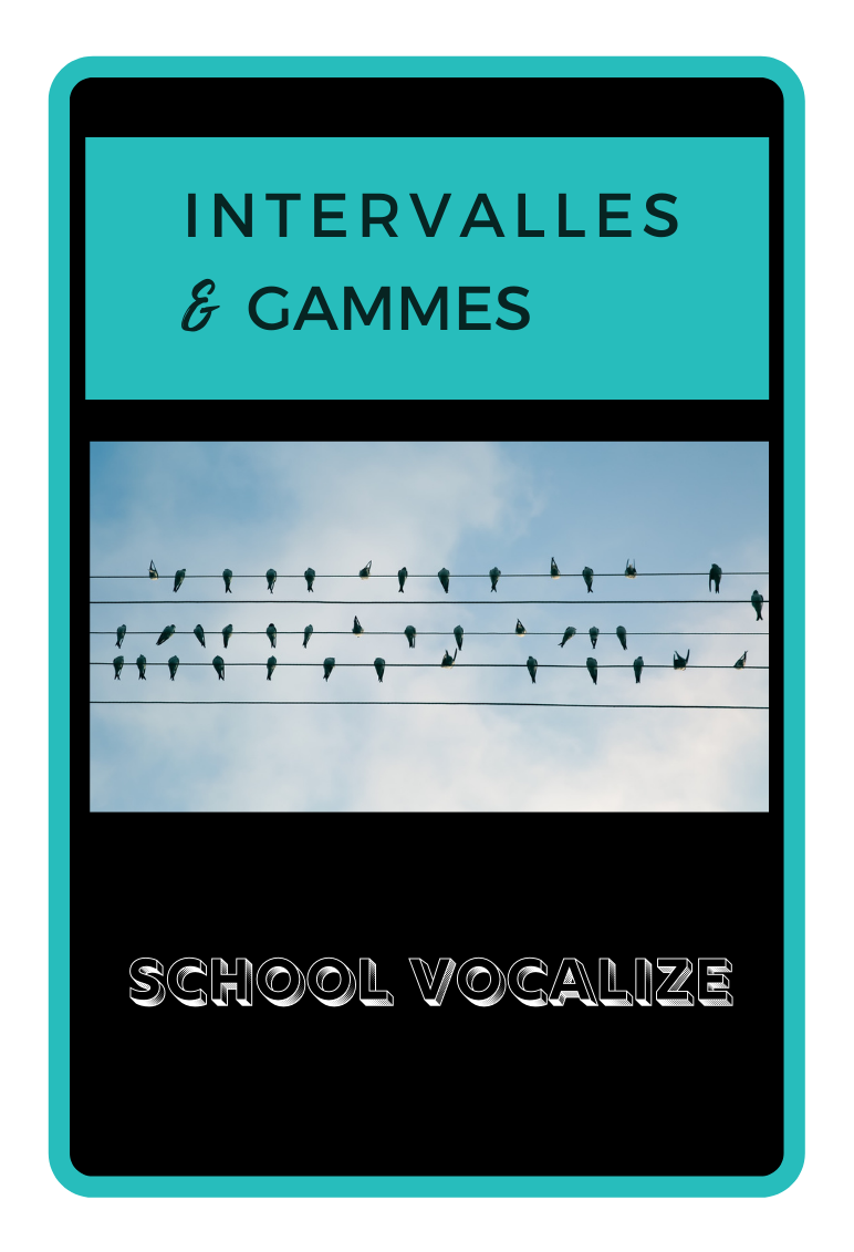 Vos cours de chant en ligne - School Vocalize 🎤